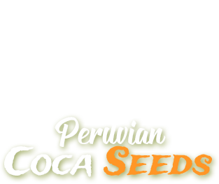 Buy Erythroxylum Coca Plant Seeds Online | BestCoca.com